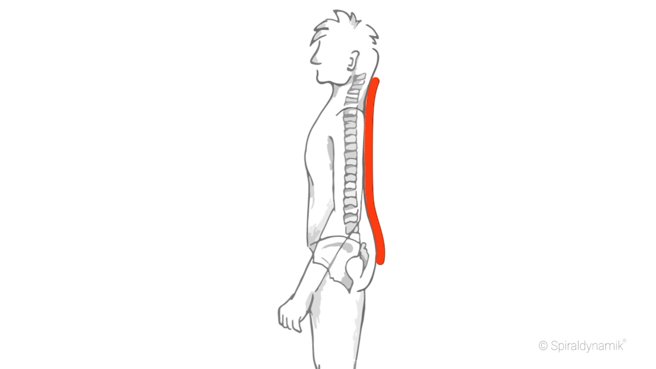 Therapie Flachrücken